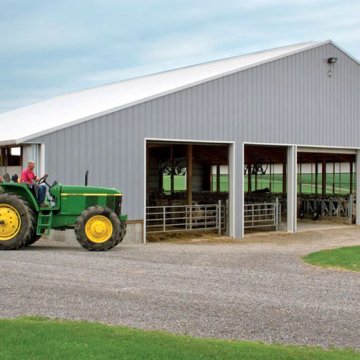 Cow Farm Building